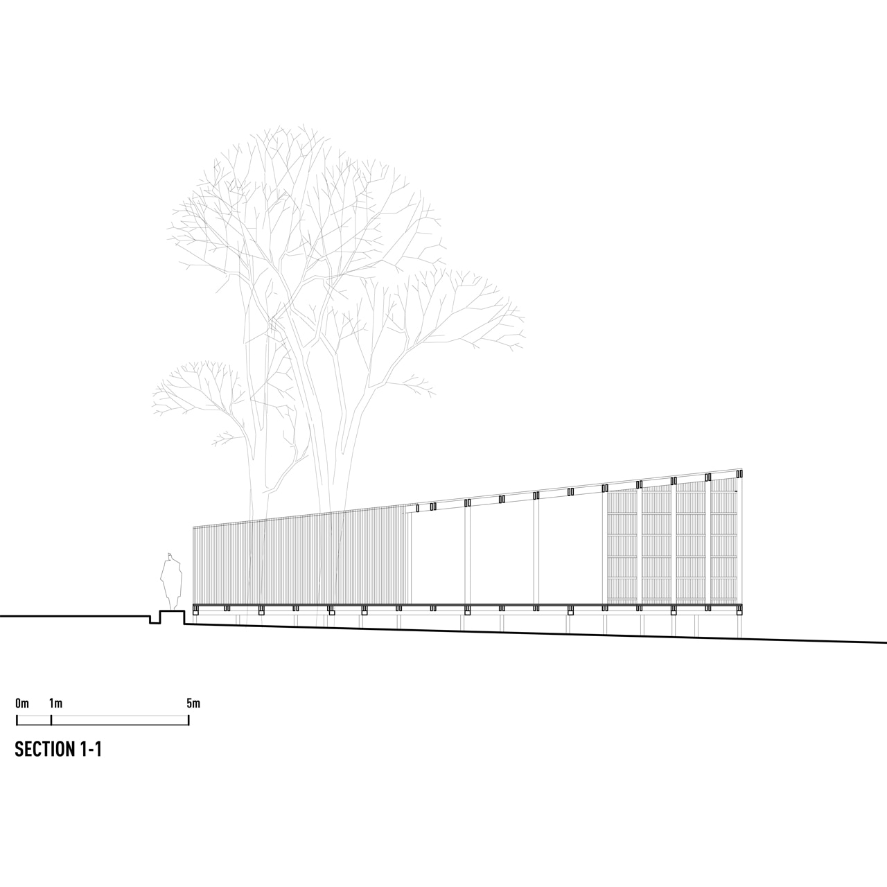 Summer House - Domus