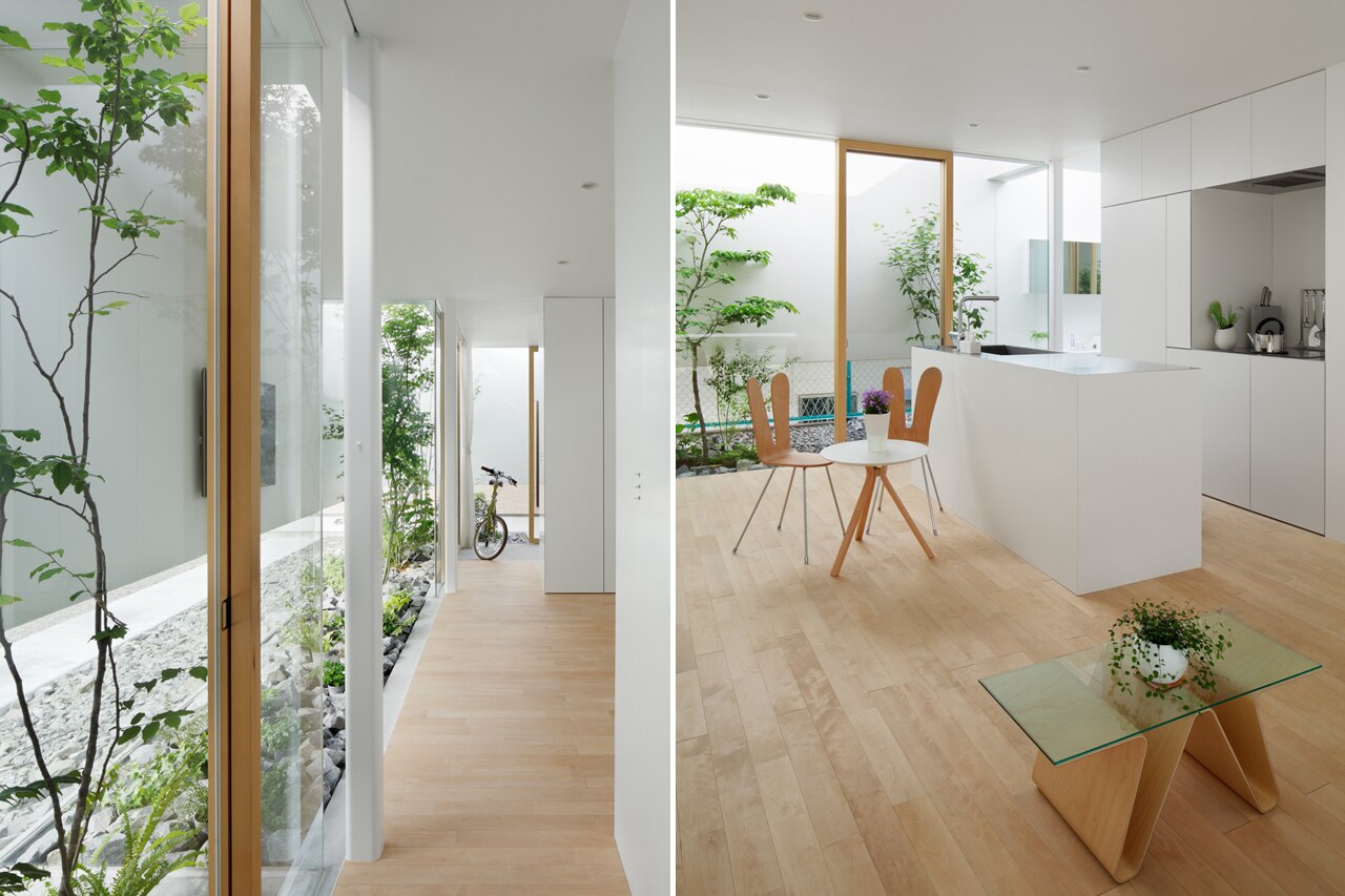 Green Edge House - Domus