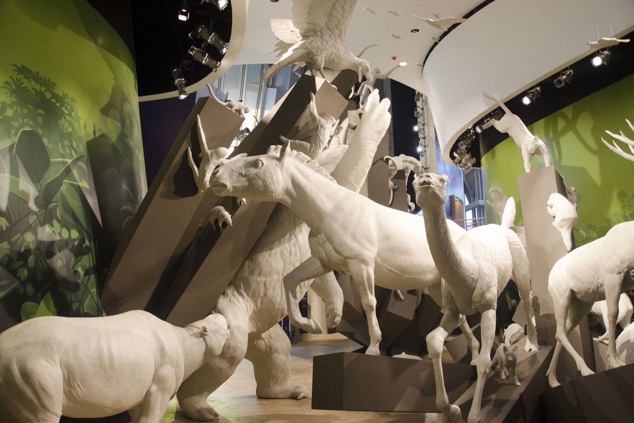 Frank Gehry: Biomuseo - Domus