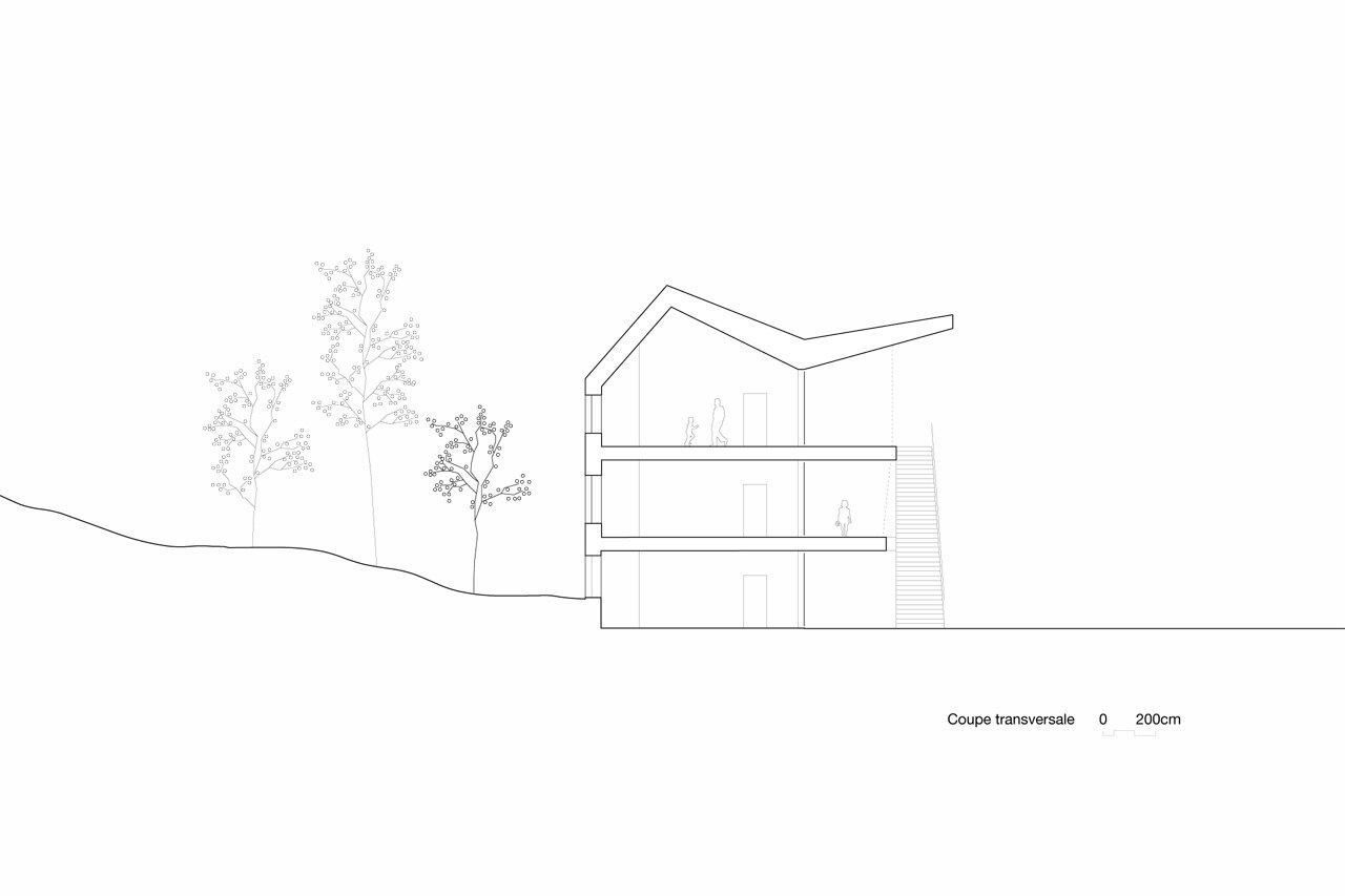 Steiner School - Domus