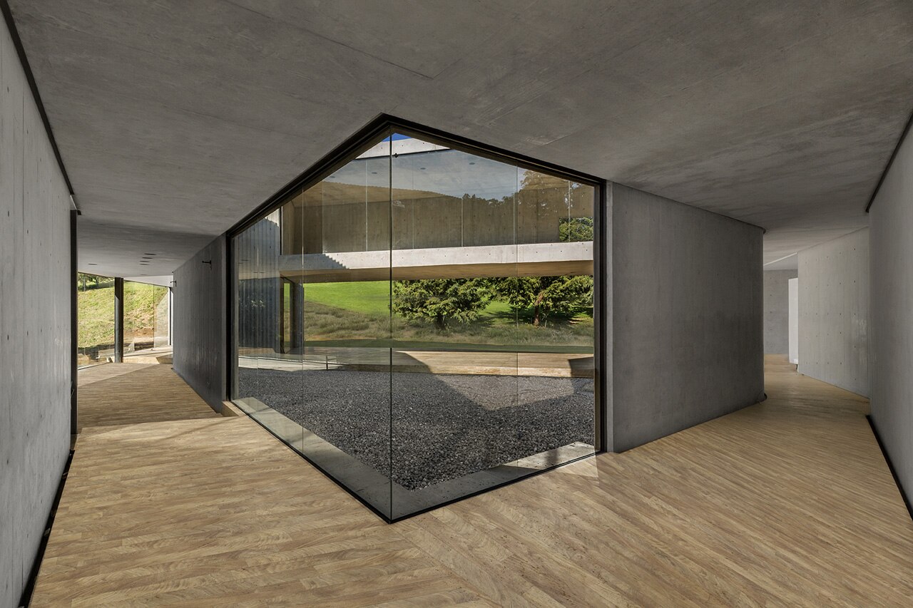 House P - Domus