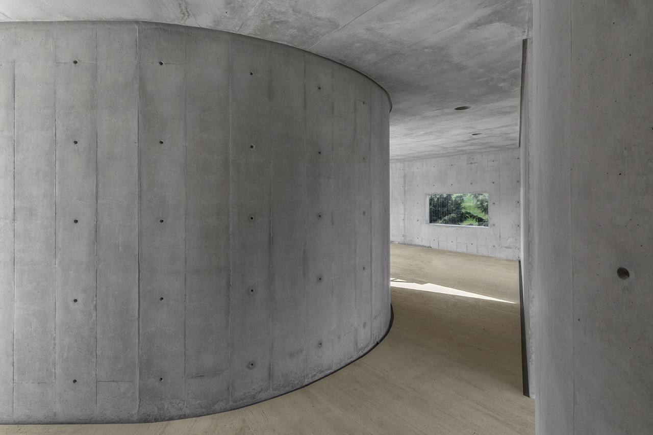House P - Domus