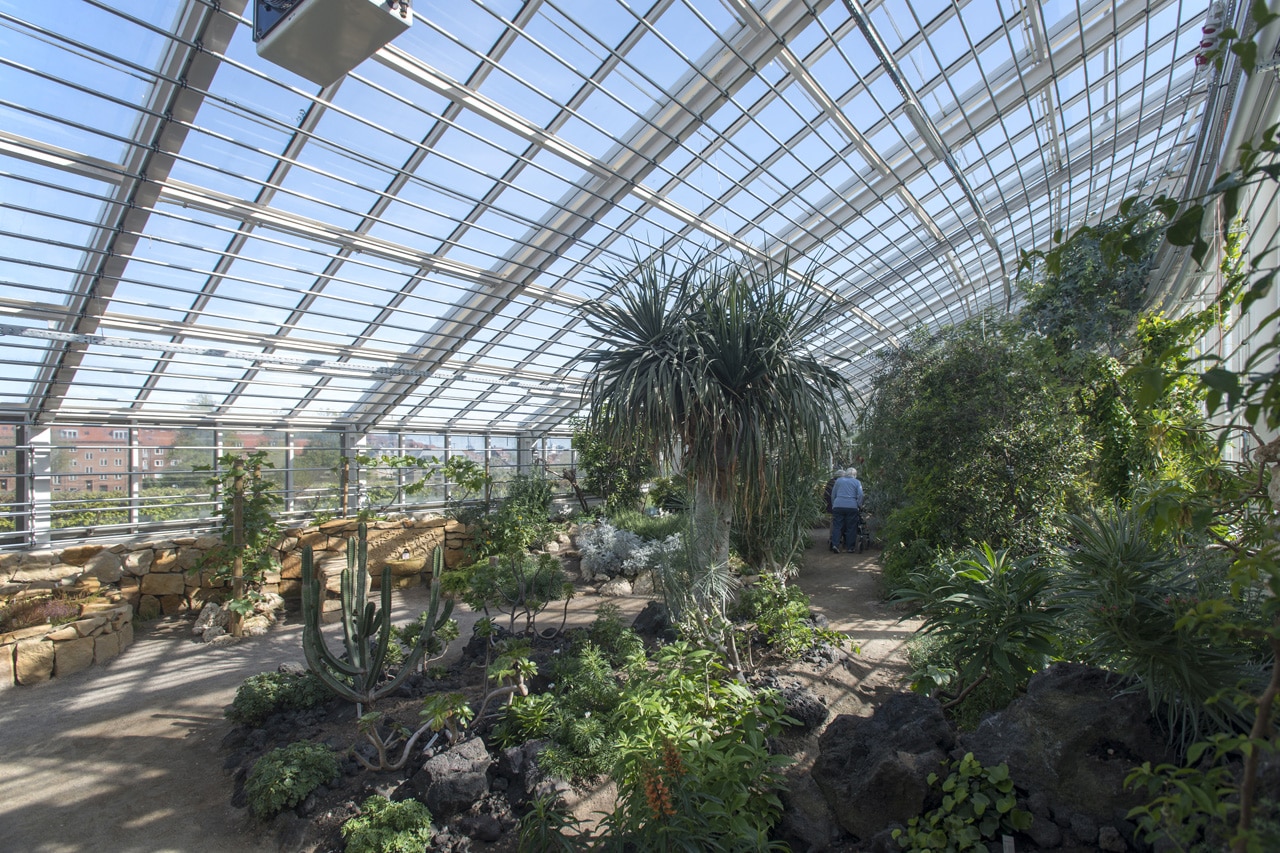 Sustainable Hothouse - Domus