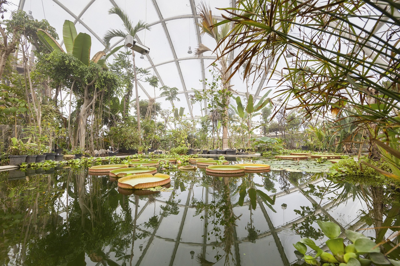 Sustainable Hothouse - Domus