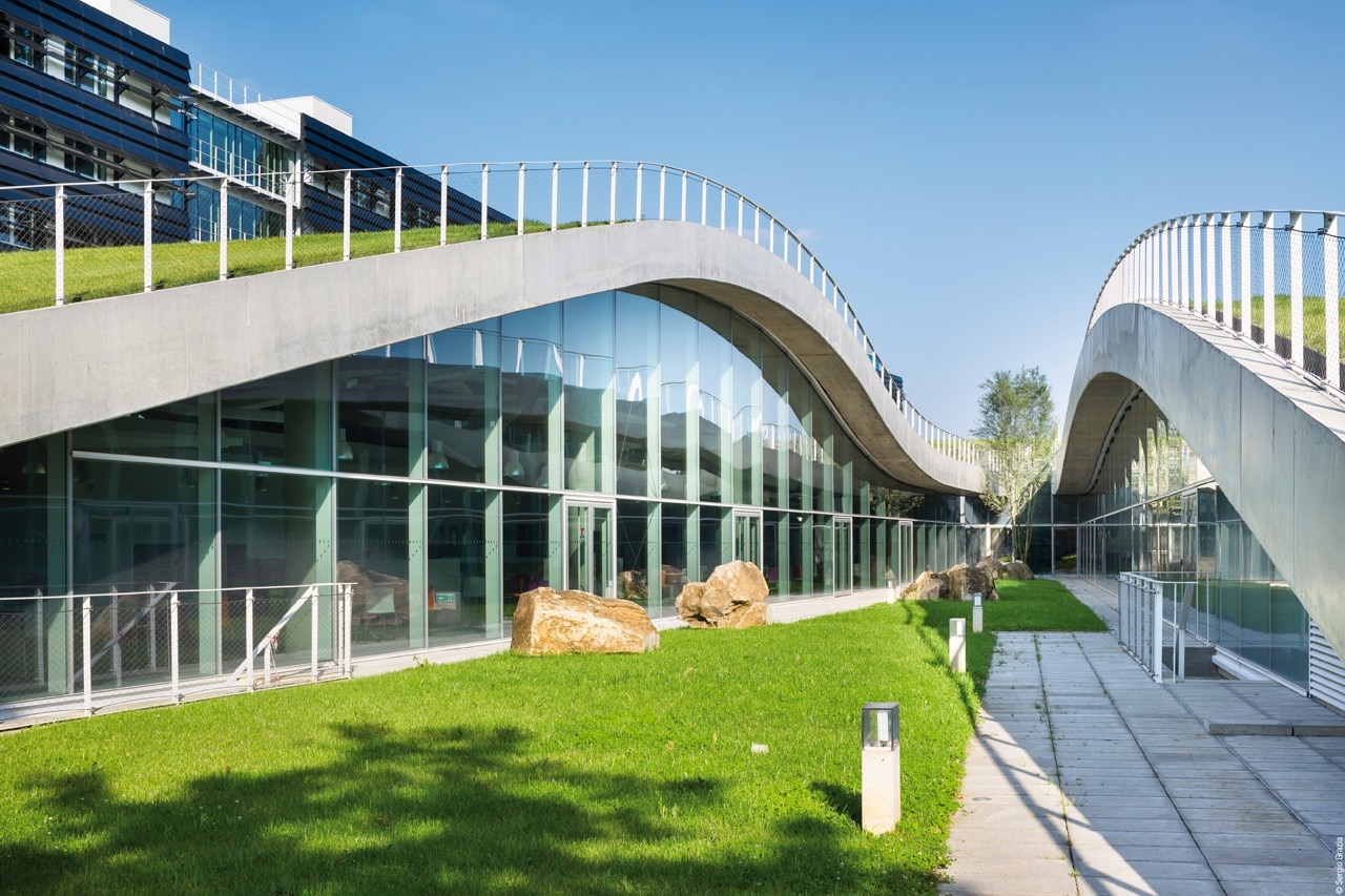 Concrete Wave - Domus