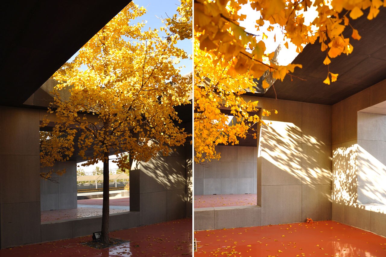 Half Stadium - Domus