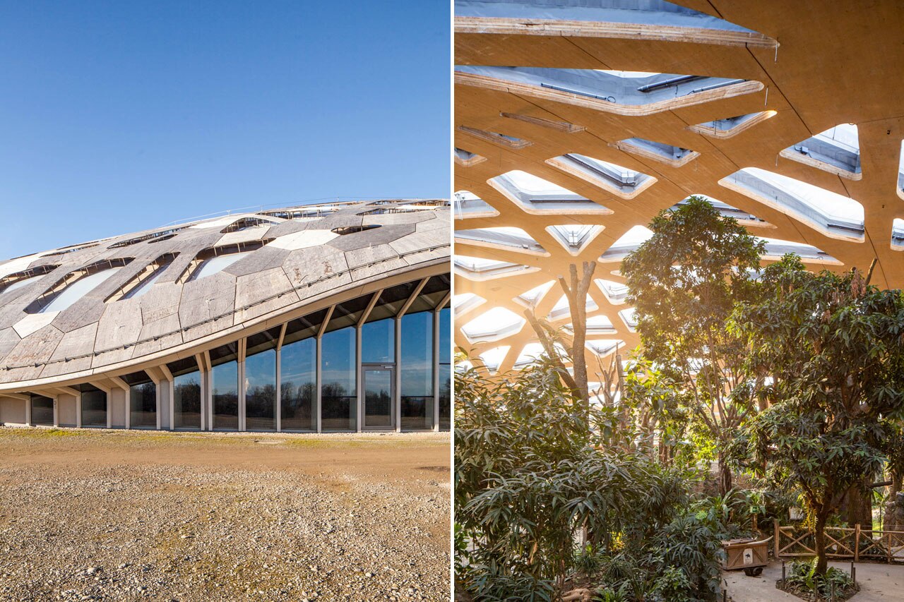 Elephant House Zoo - Domus