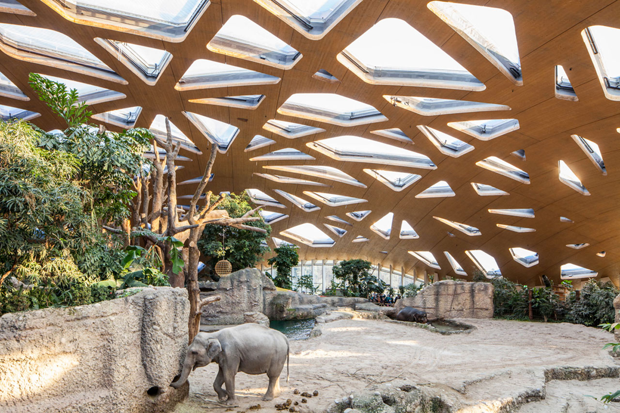 Elephant House Zoo - Domus