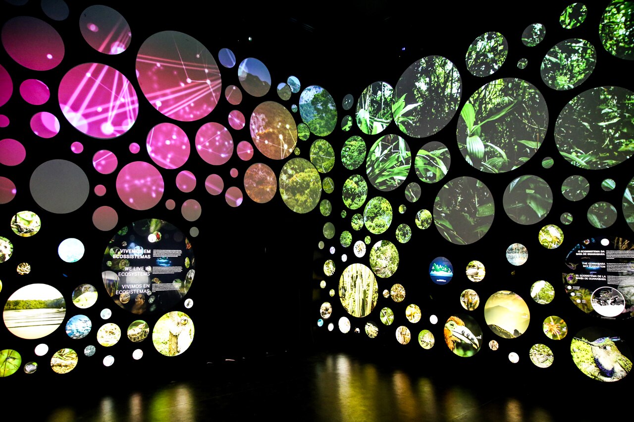 The Museum of Tomorrow - Domus