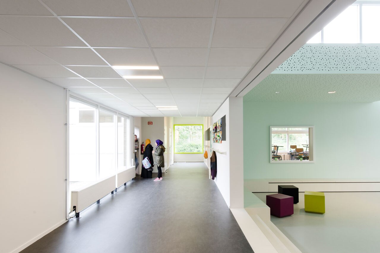 Haarlem Primary School - Domus