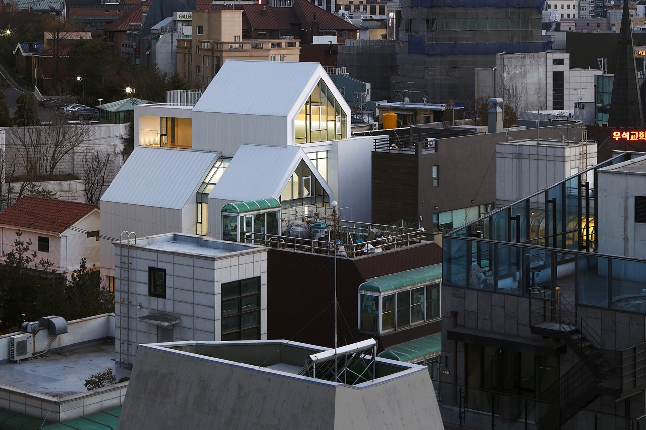 March Rabbit - Domus