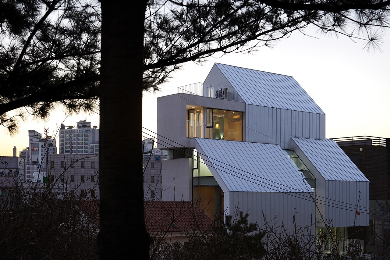 March Rabbit - Domus