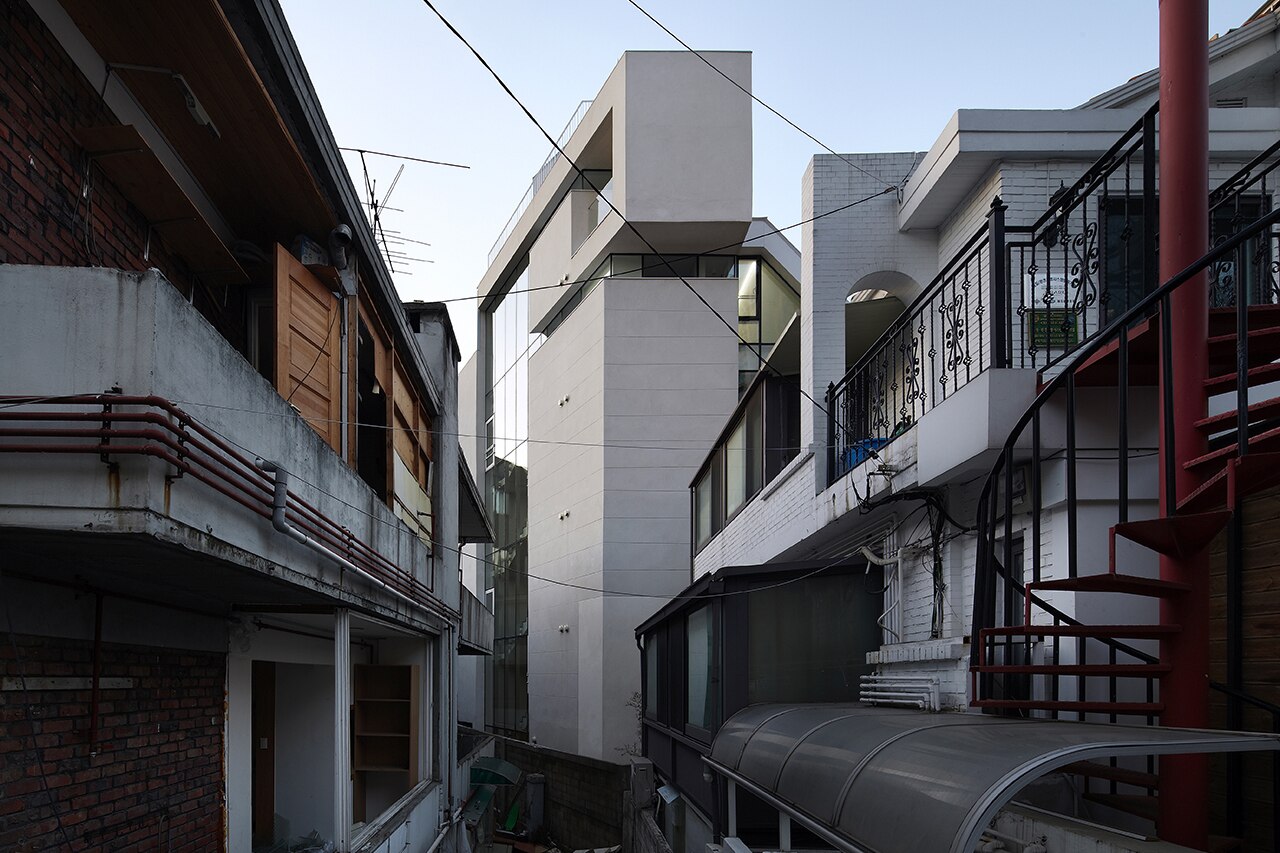 March Rabbit - Domus