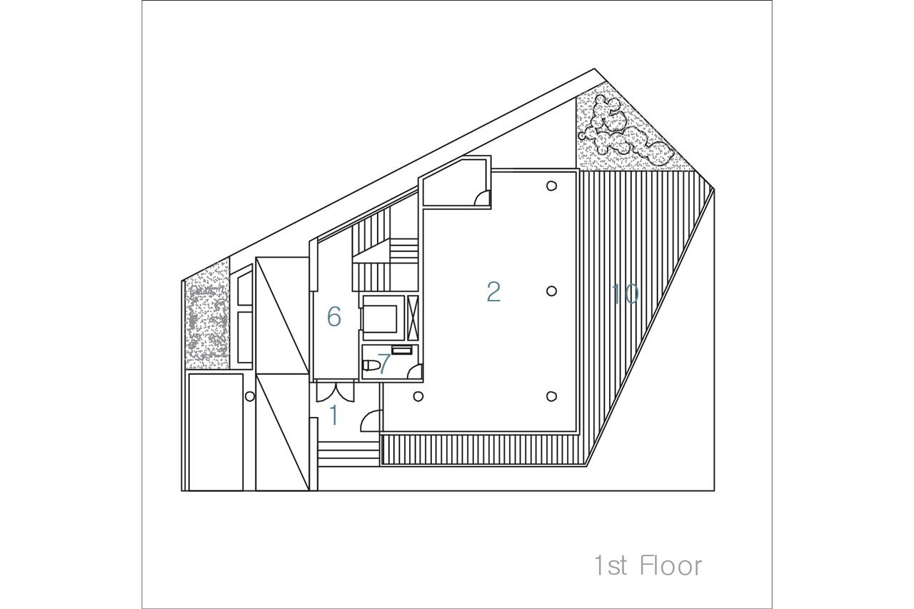 March Rabbit - Domus
