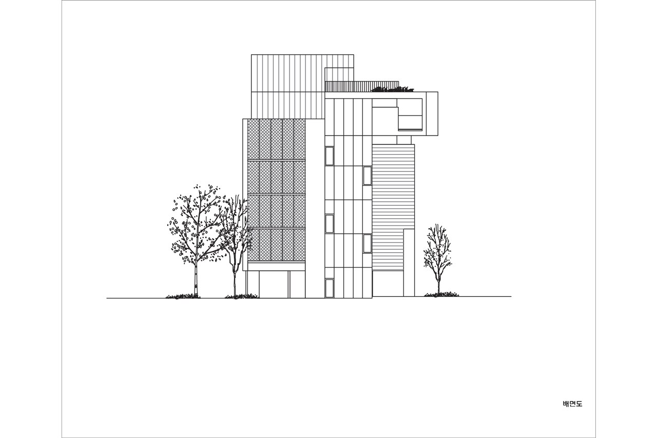 March Rabbit - Domus