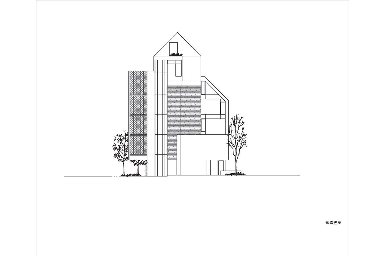 March Rabbit - Domus