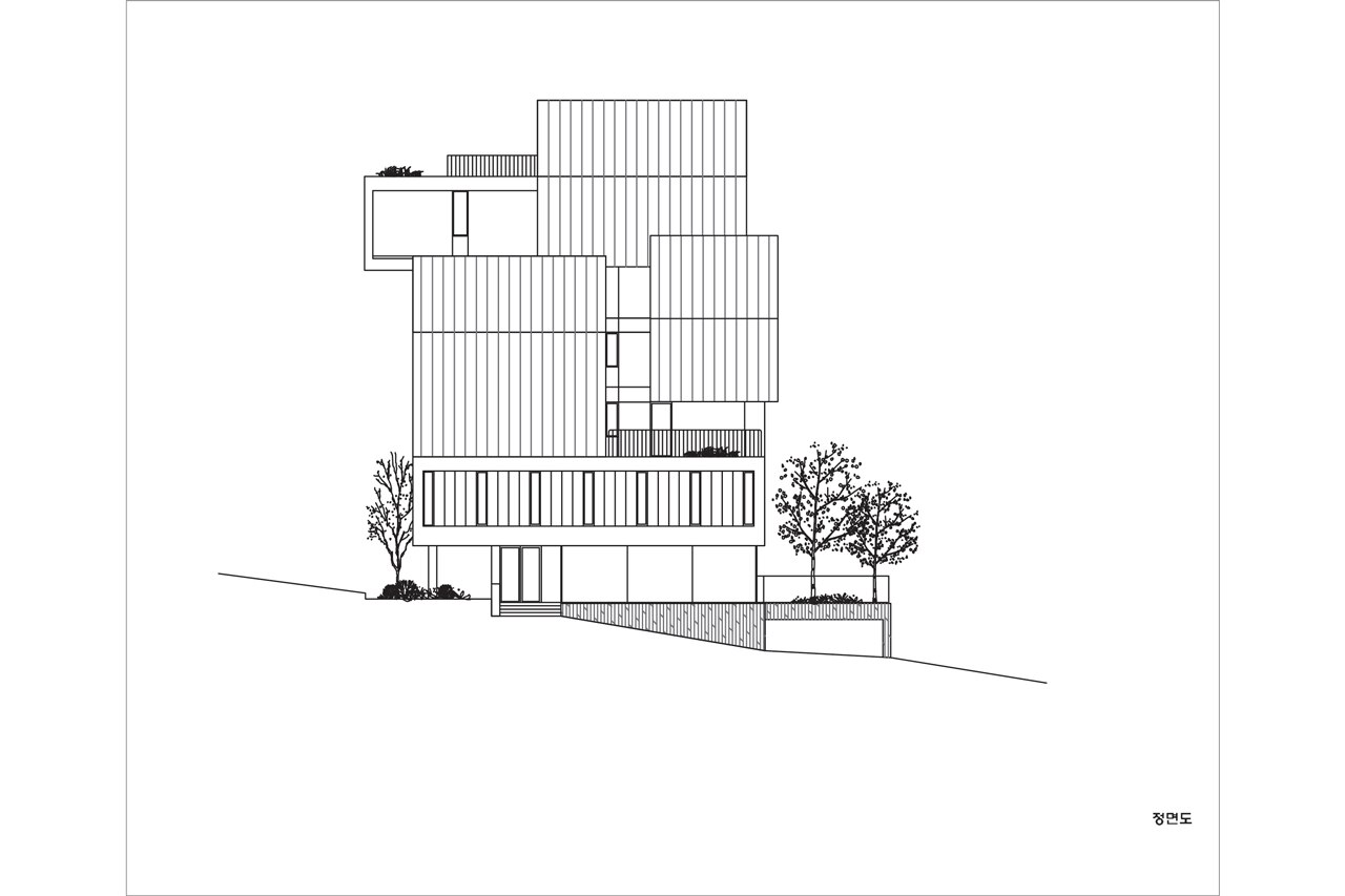 March Rabbit - Domus