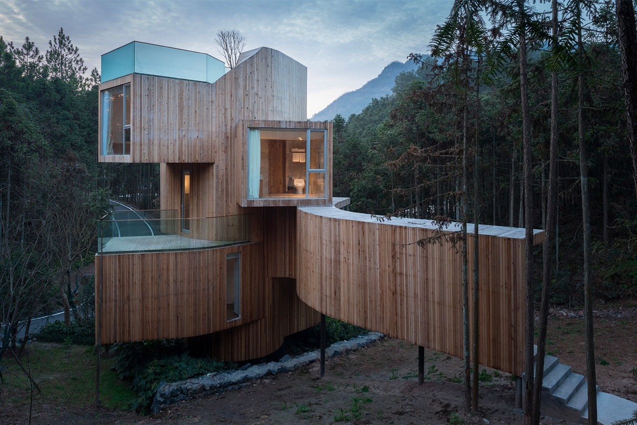 Tree House - Domus