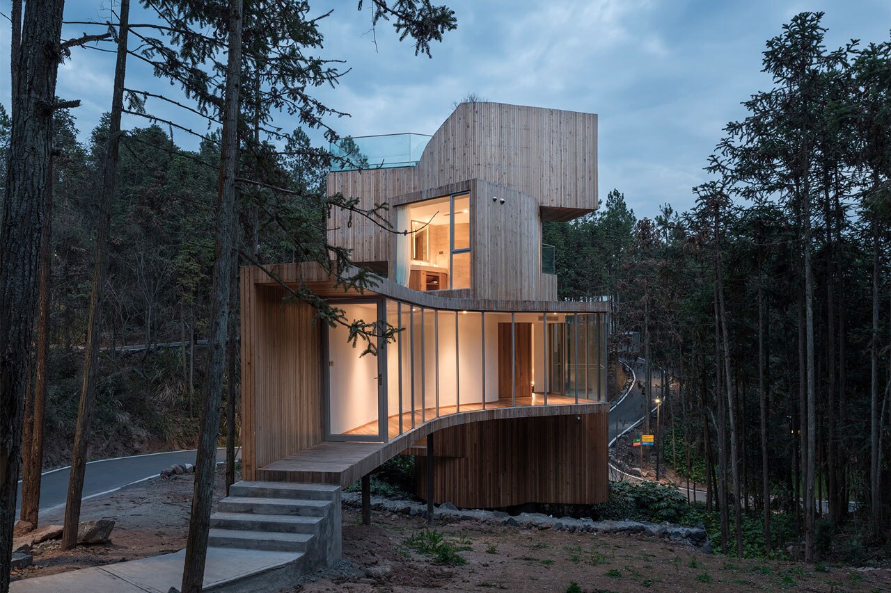 Tree House - Domus