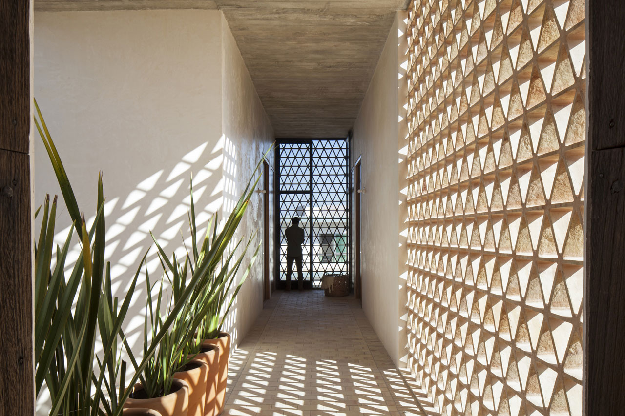 Iguana house - Domus