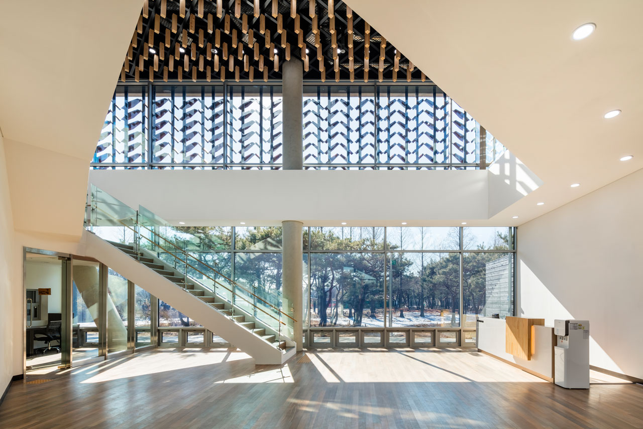Wood Culture Museum - Domus