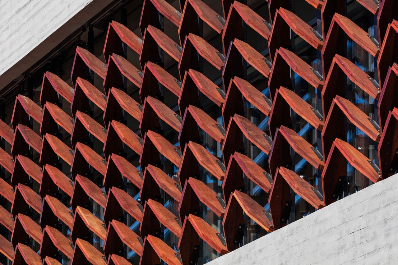 Wood Culture Museum - Domus