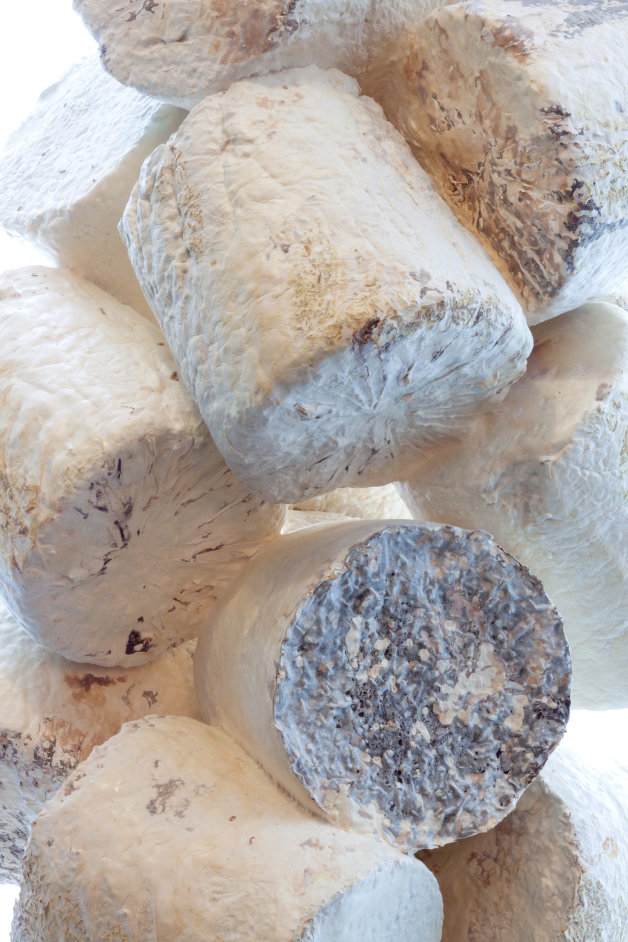 5 works of "restorative design" from Broken Nature: Design Takes on ...