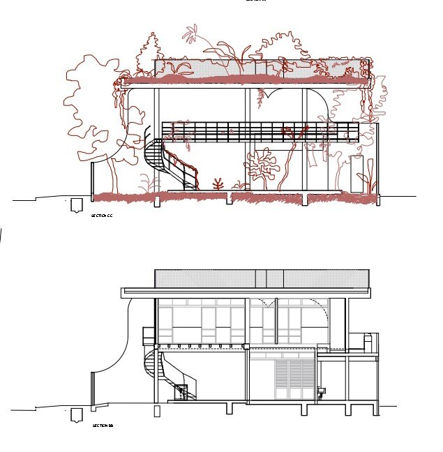In Singapore, Ling Hao experiments a “natural way of living” with an ...