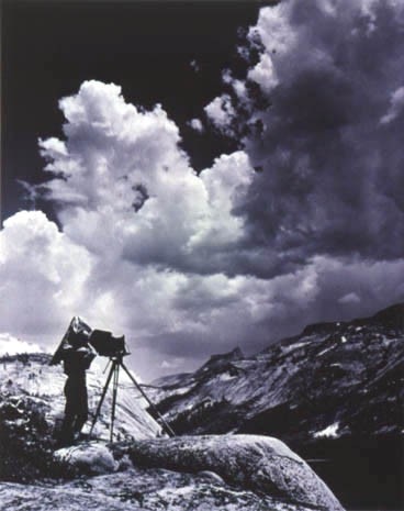 Edward Weston. Photography and Modernism - Domus