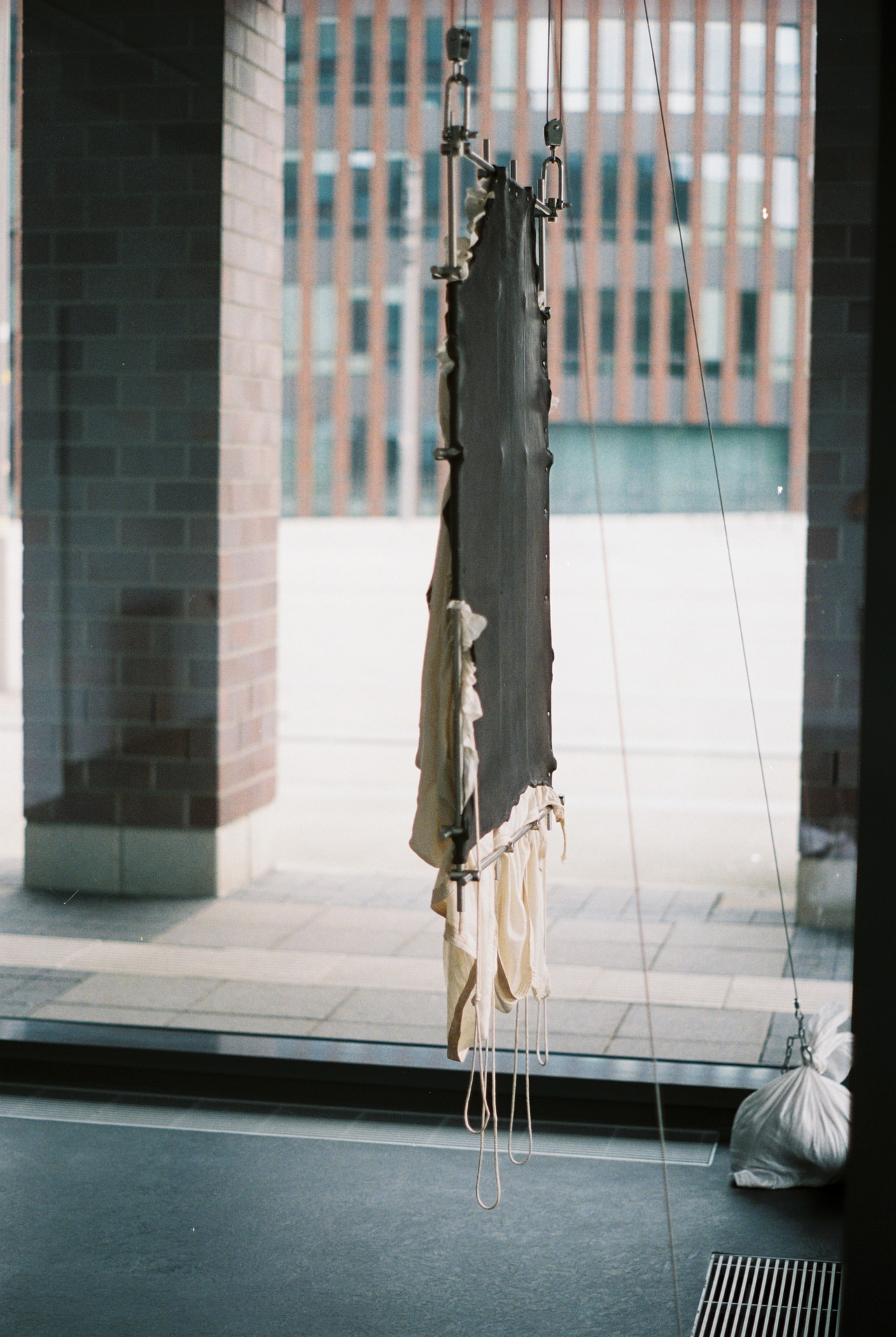 Interview with Canadian artist Elaine Cameron-Weir