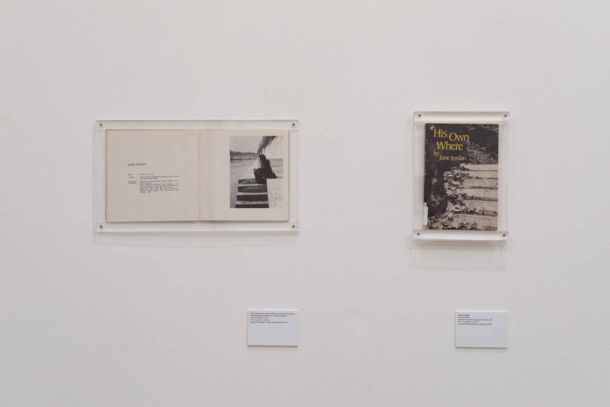 June Jordan, the poet who designed urban habitats - Domus