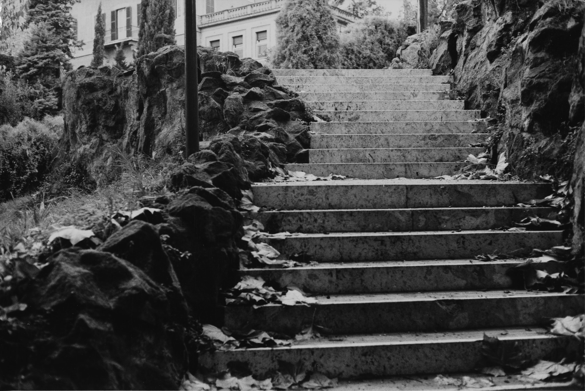 June Jordan, the poet who designed urban habitats - Domus