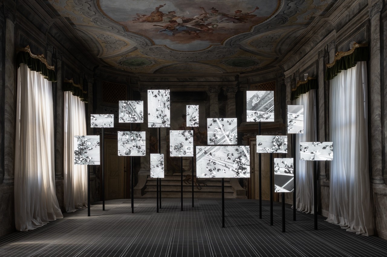 Canicula in Venice is the exhibition to see during the 2026 Art Biennale