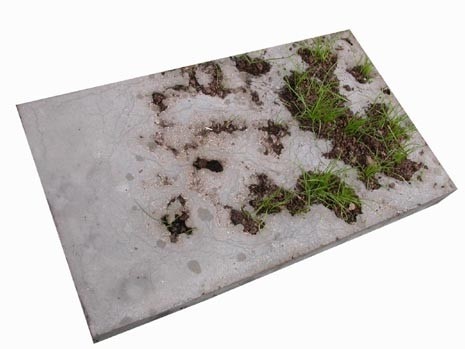 Organic Concrete. Smart materials or smart ass? - Domus