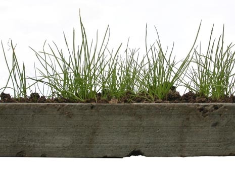 Organic Concrete. Smart materials or smart ass? - Domus