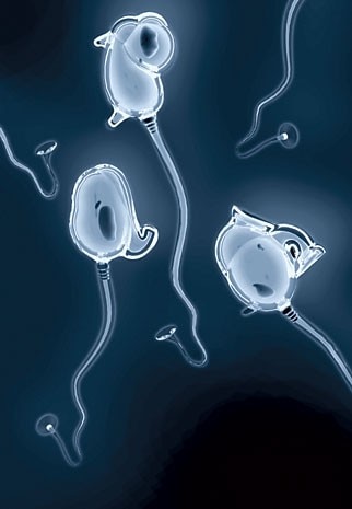 Biological typography - Domus