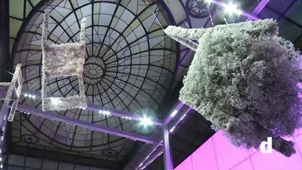 Nature embalmed (1) - Domus