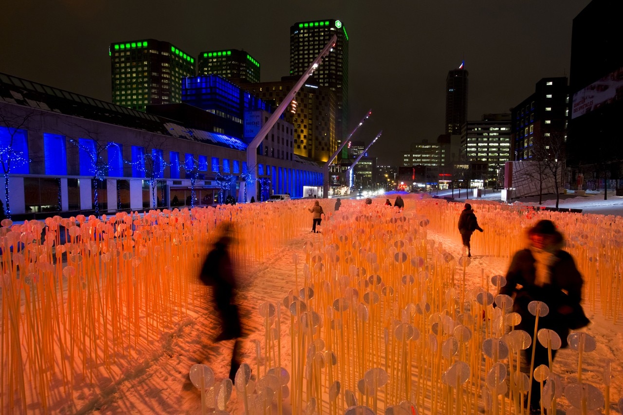 Montréal: Luminothérapie - Domus