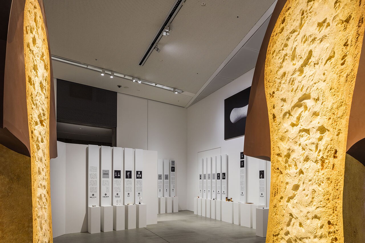 Design Anatomy - Domus