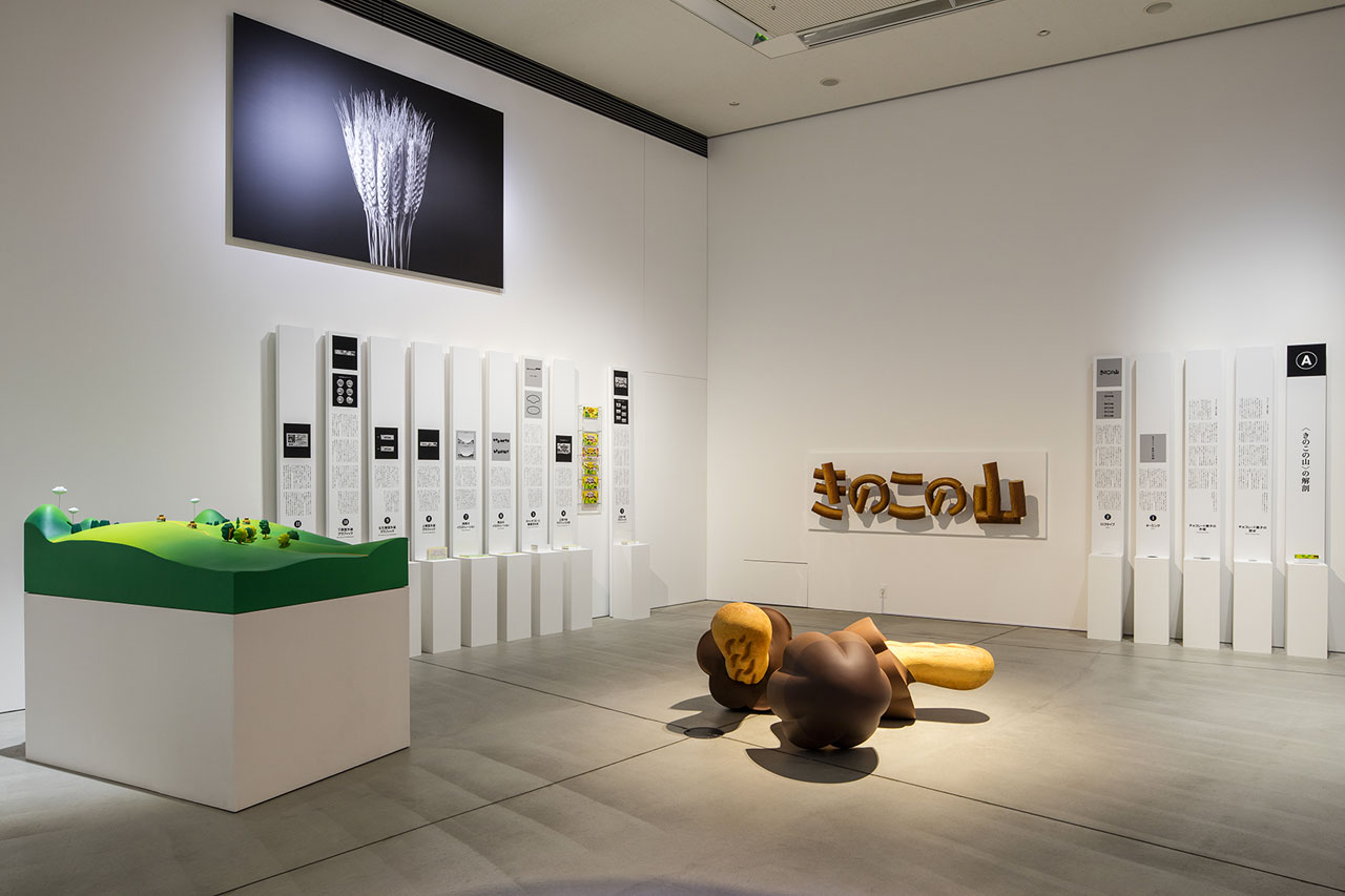 Design Anatomy - Domus