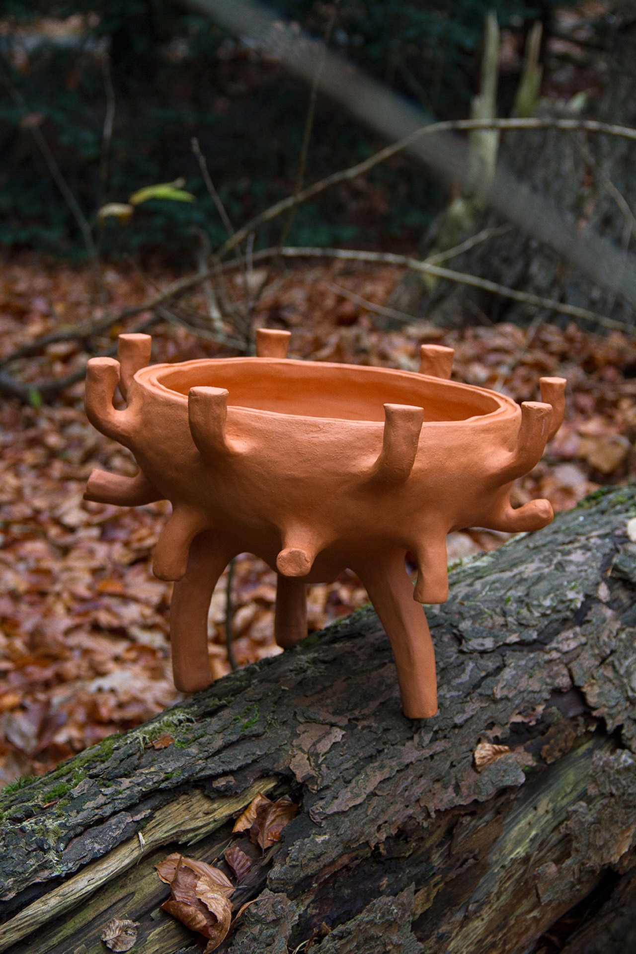 Tellurico. Designing in the shadow of a volcano