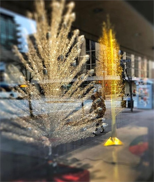 Evergleam. The enduring love affair with the aluminum Christmas tree ...