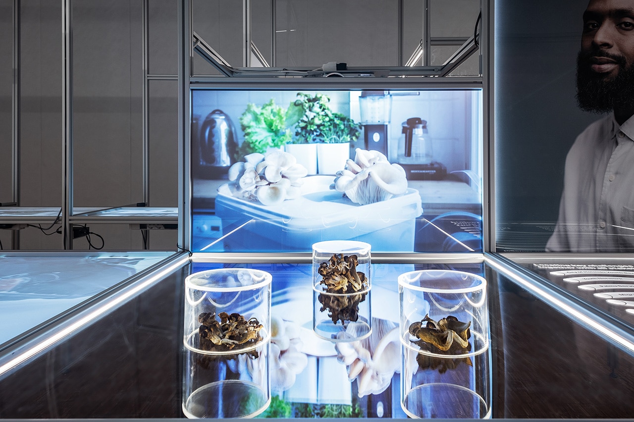 5 works of "restorative design" from Broken Nature: Design Takes on ...