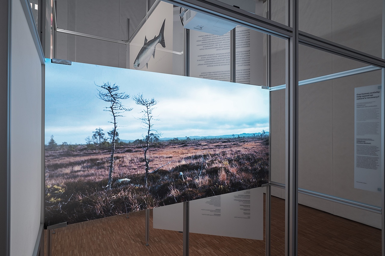 5 works of "restorative design" from Broken Nature: Design Takes on ...