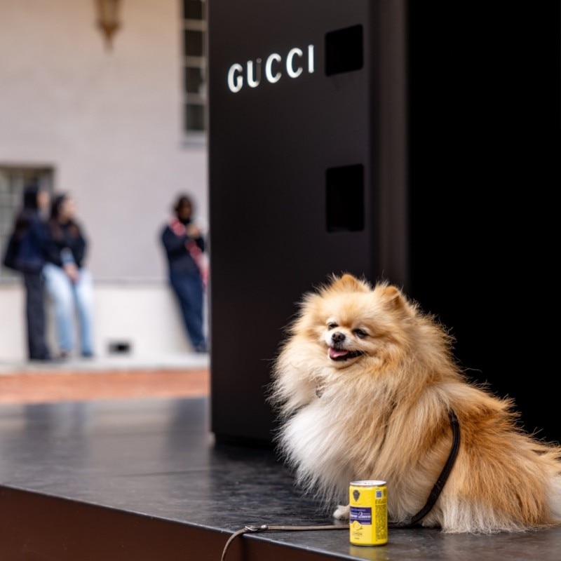 The best photos from Design Week 2026 - Domus
