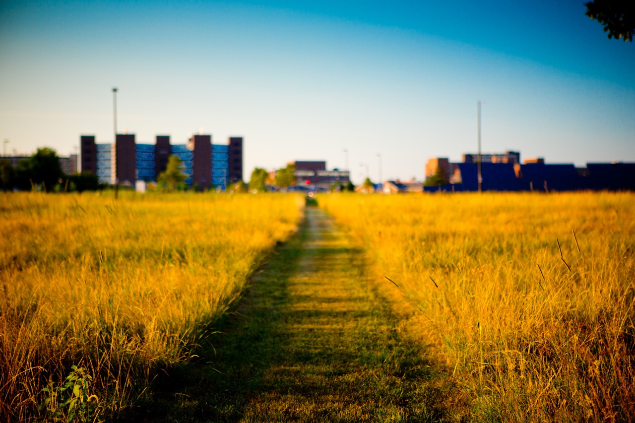 The Solar Strand - Domus