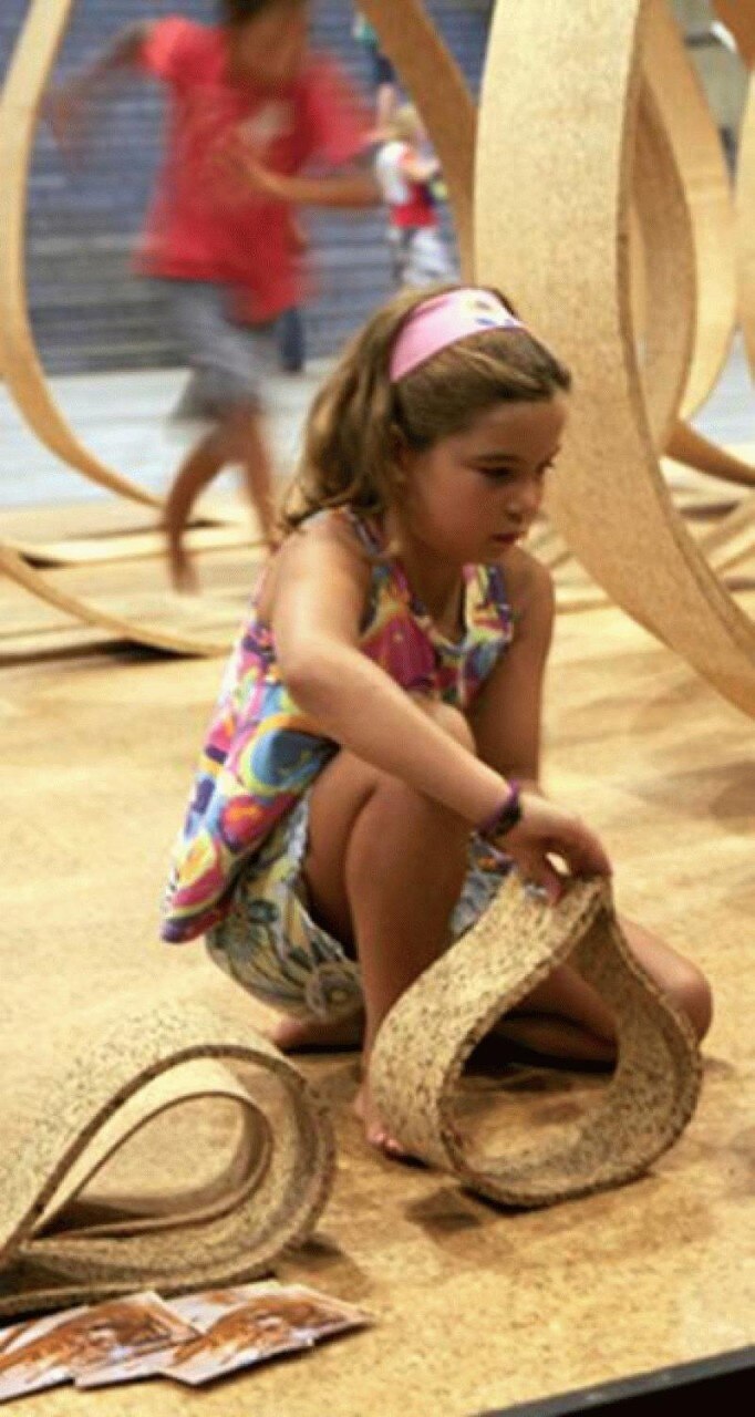 Digital Primitive #2: iterative design - Domus