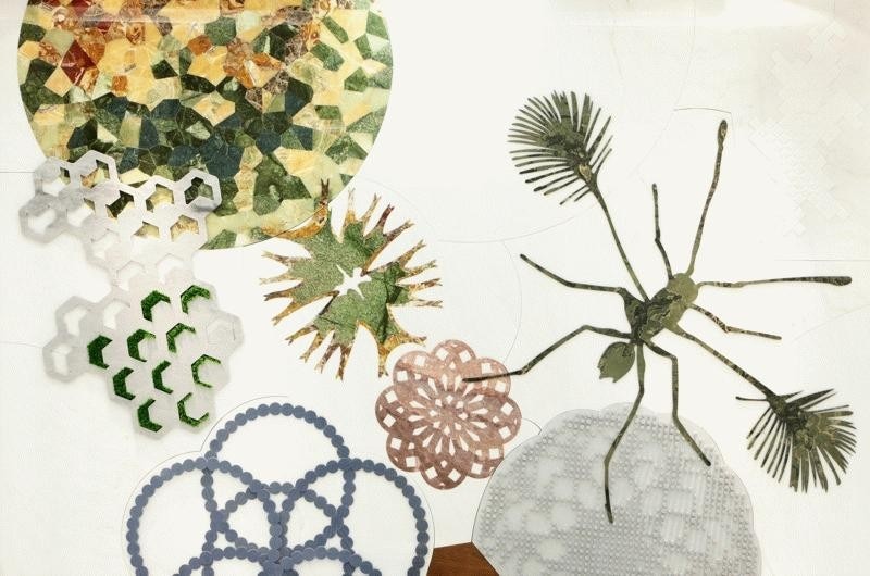 Macrosterias and Algae bench by Patricia Urquiola at Art Basel - Domus