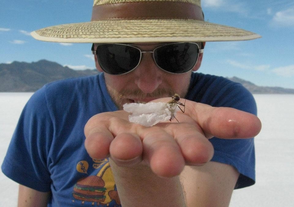 PostNatural Organisms - Domus