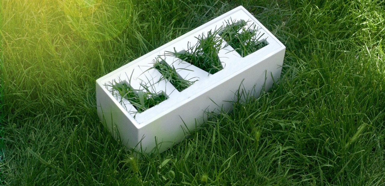 Schizophrenic Project - Domus